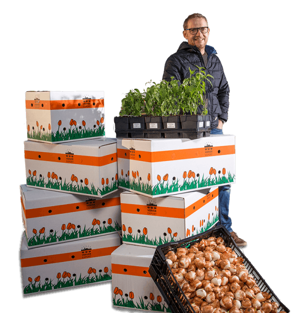 Verver Export, Flower Bulbs & Plant Concepts